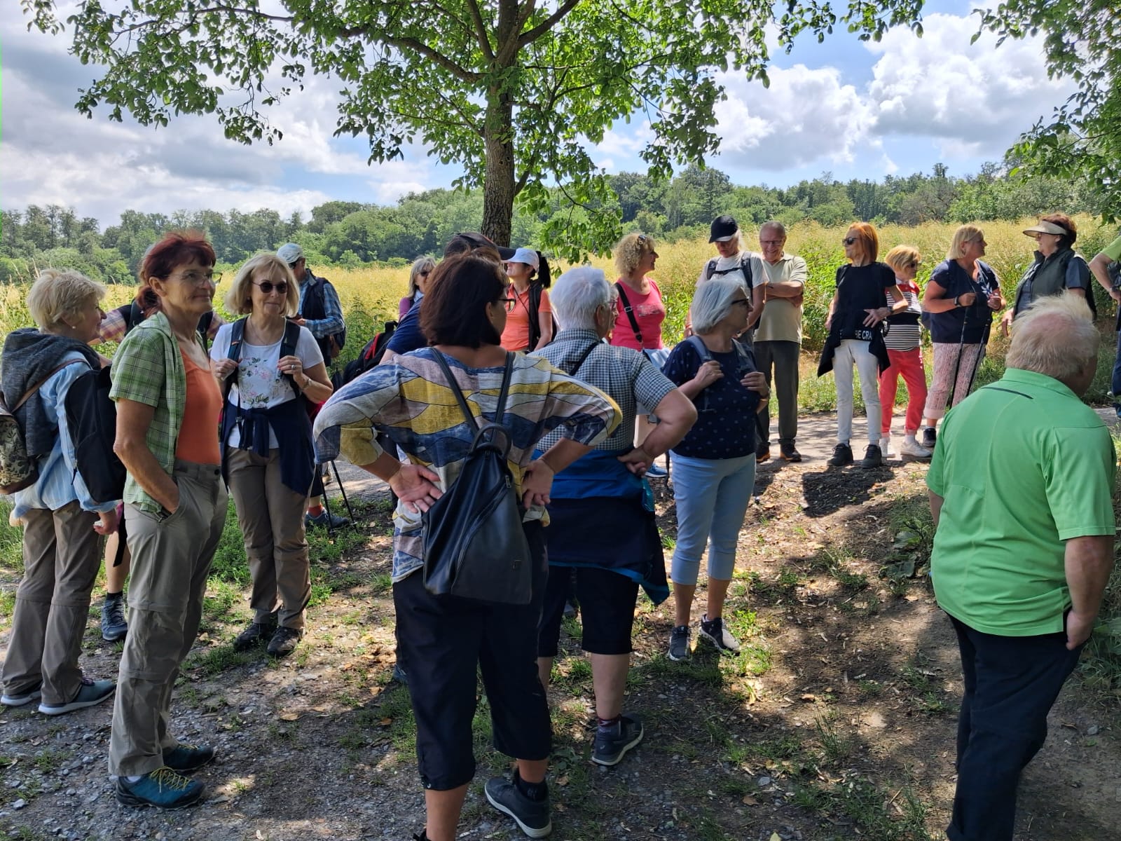 Wanderung des TBG im Kraichgau | TBG Reilingen